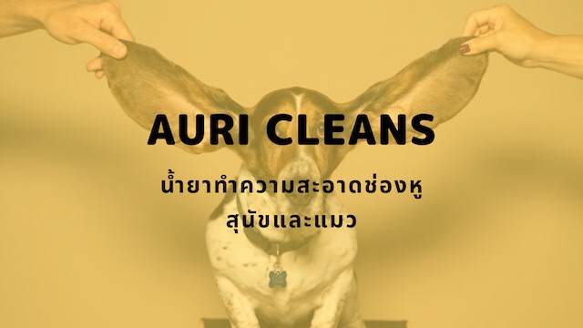 【Review】รีวิว Auri Cleans น้ำยาหยอดทำความสะอาดหูสุนัขและแมว - Chan Review